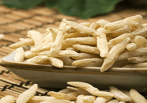 Mạch môn là gì? Mạch môn có tác dụng gì?